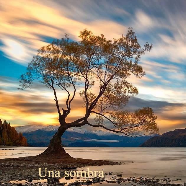 El Papachayo (Poemas Abstractos cortos de Ivette Mendoza Fajardo): Una ...