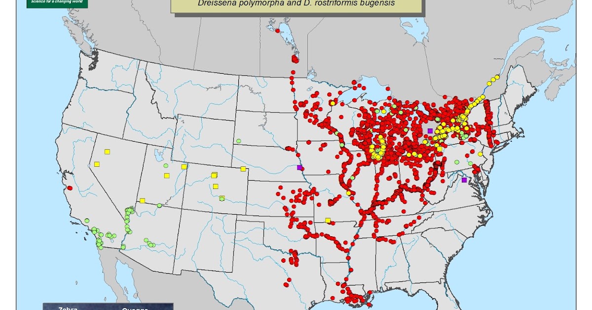 Distribution of the invasive Zebra and Quagga Mussels in U.S. waterways