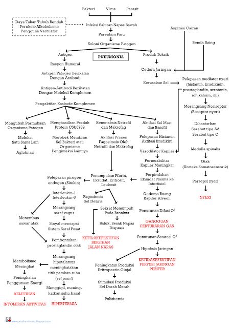 Pathway Pneumonia