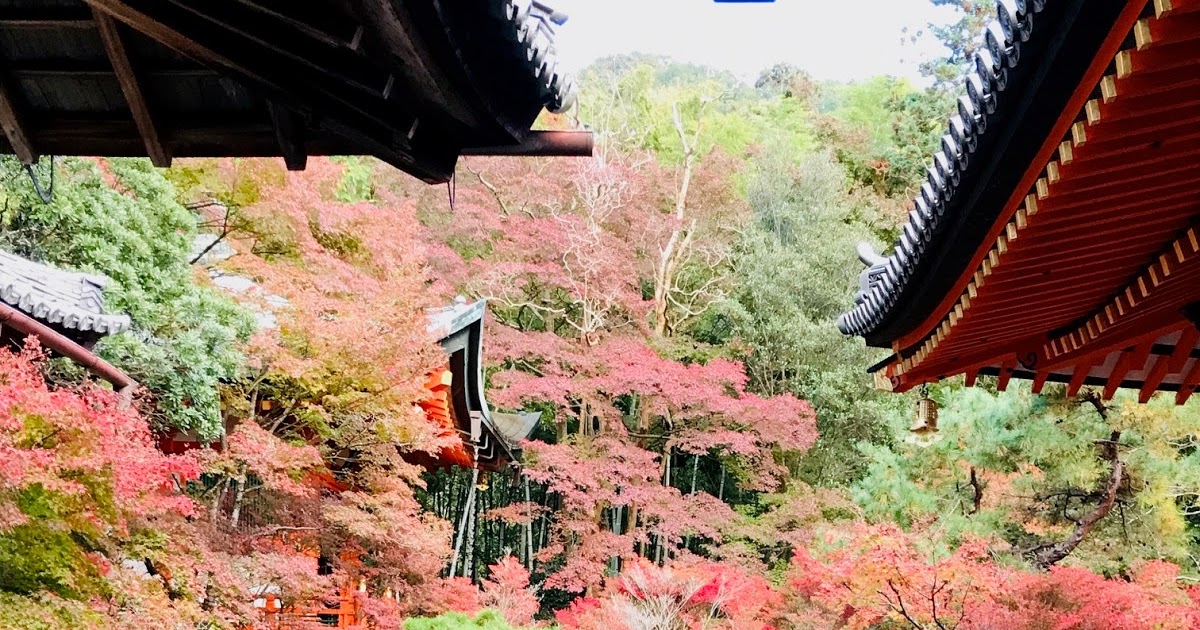 Gen Japan's staff blog : The autumn leaves at Bishamon-do Temple in Kyoto