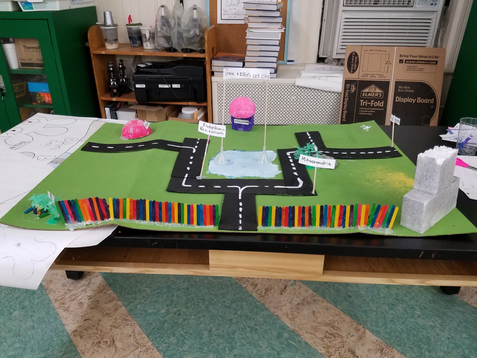 3d Cell City Project Examples