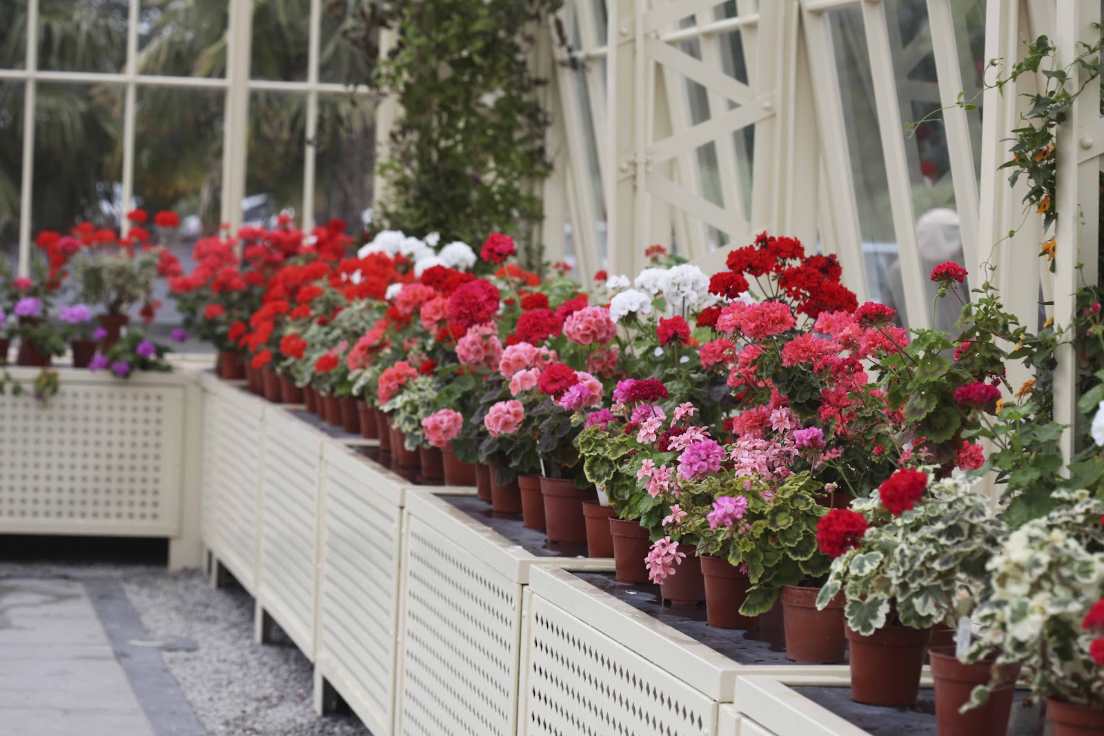 Garden Living: Botanisk hage - Dublin