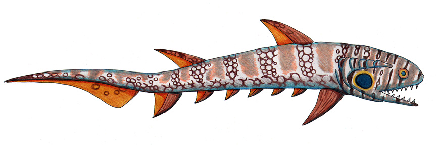 Notes from the Paleozoic: The Age of Fishes Part 1.