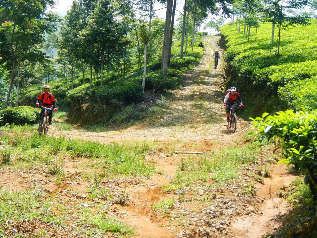 Batu Belang Pangalengan - Dewata - Hutan Gunung Maud - Selap Awi, Garut ...