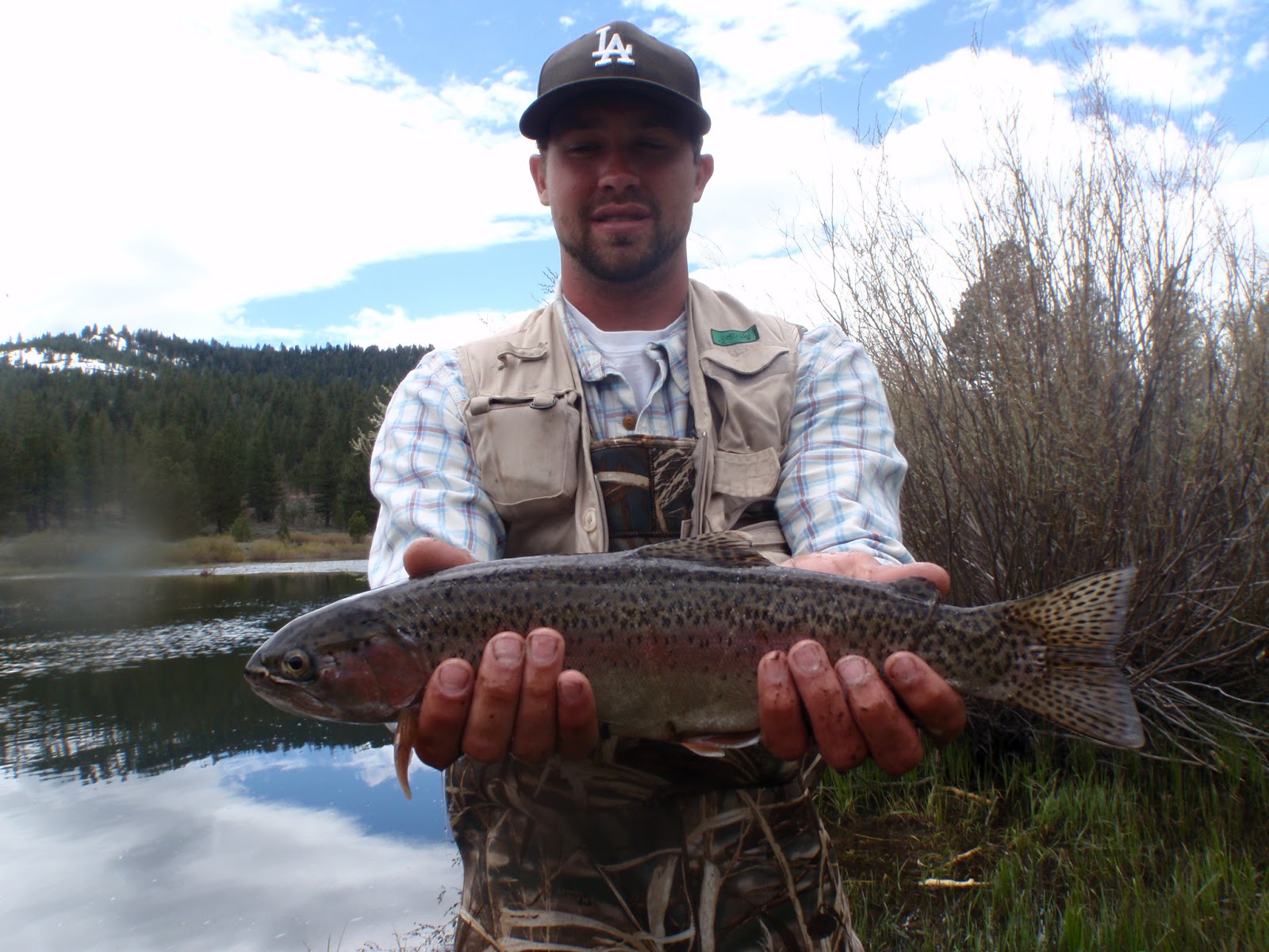 Goodwin Ponds – CatchSnapRelease.com