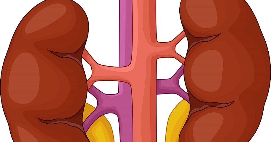 Cáncer de riñón - Salud en línea