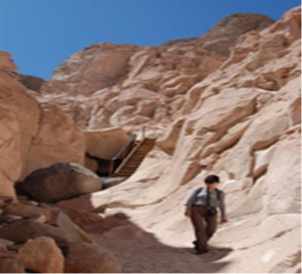 Viajes en Latino América!: Comuna de Camiña - Chile - Olga fernandez