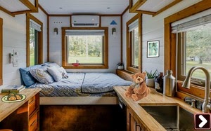 Jugar Container Room Escape - Gran Curioso. Juegos de Escape Room ...