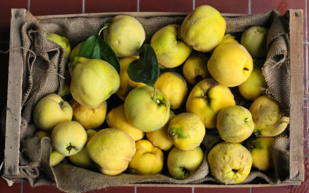 Un peu gay dans les coings...: Recettes de coings: le récapitulatif (79 ...