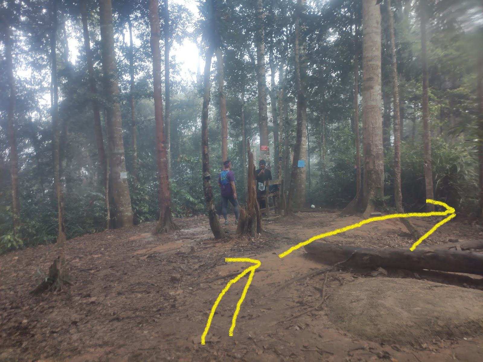 Hiking and Stuff: Gunung Tok Wan and Puncak 18 via Broga Hill