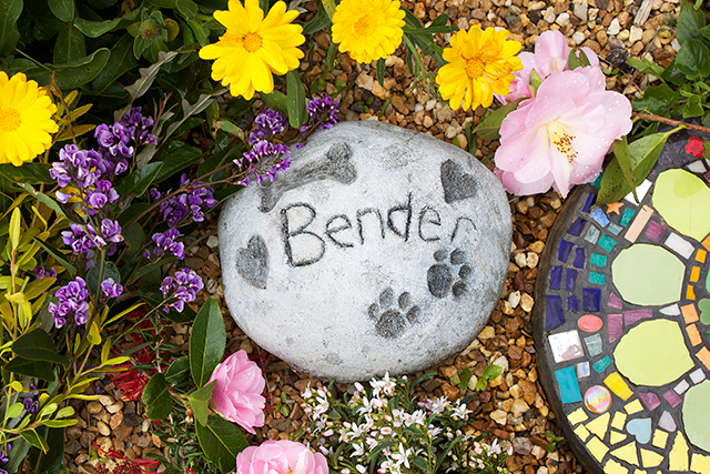 Jules Madden: DIY Pet Memorial Stone