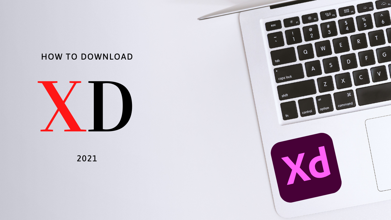 Adobe xd 2021