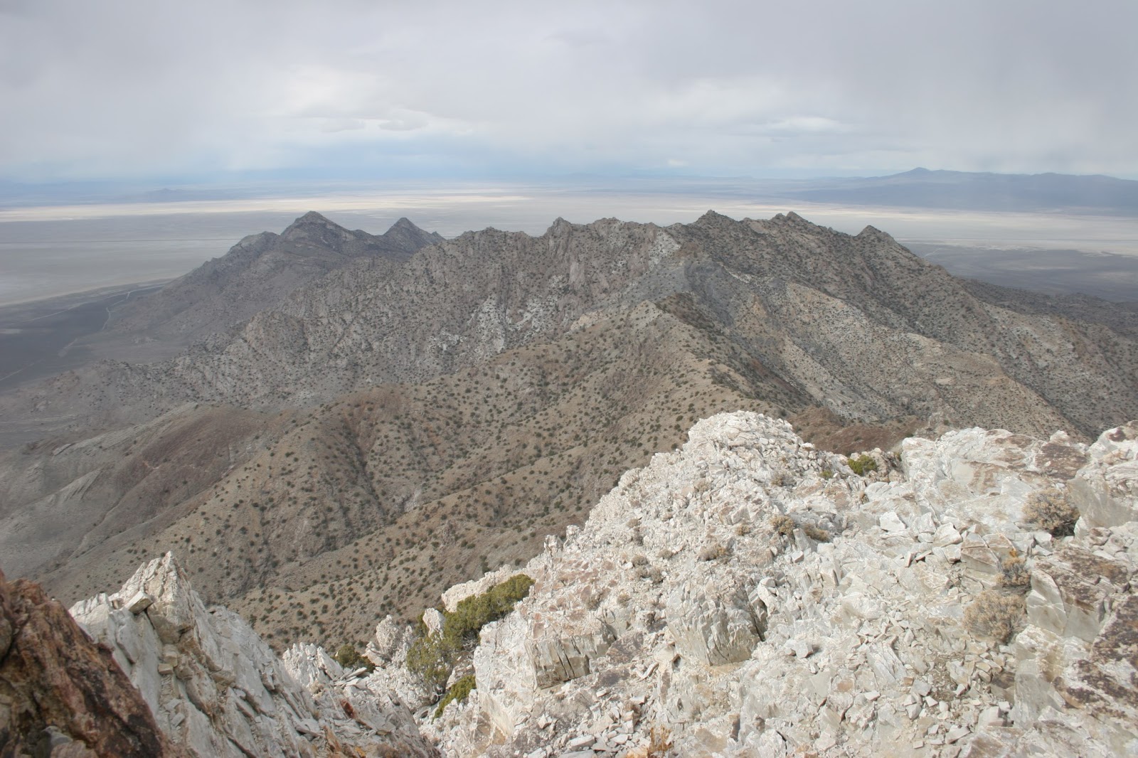 Great Basin Ute: Newfoundland Mountains, NW Utah
