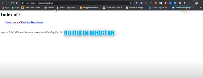 how to install script on cpanel 2020 । Php script and Database to Hosting । - Trickbd.com