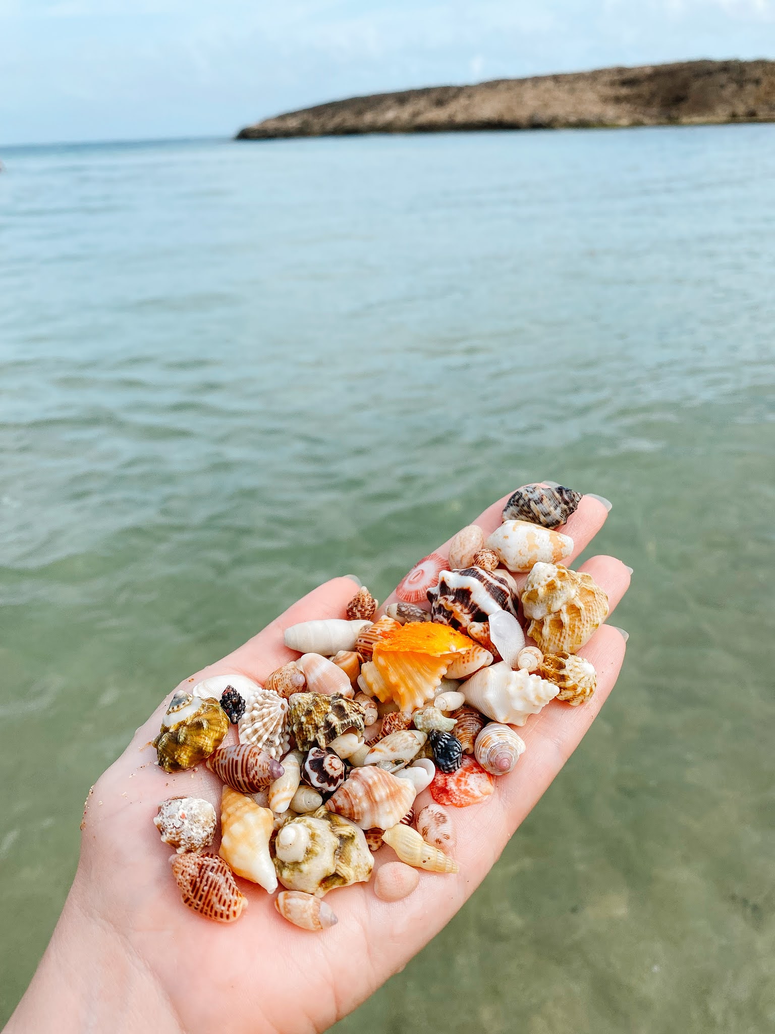 With Style & Grace: Puerto Rico Travel Diary