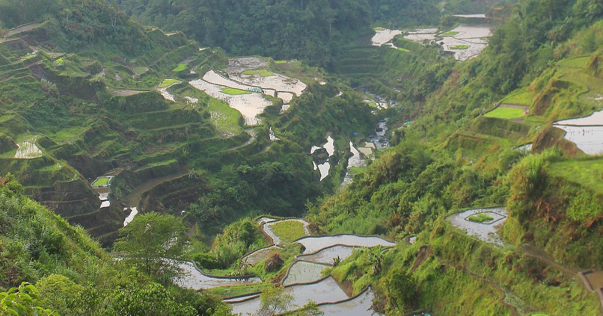 When in Ifugao: Banaue Rice Terraces - Shelly Viajera Travel