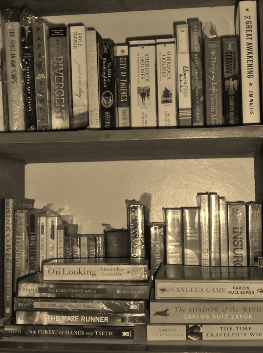 Bookshelves Evolution bookshelves-evolution