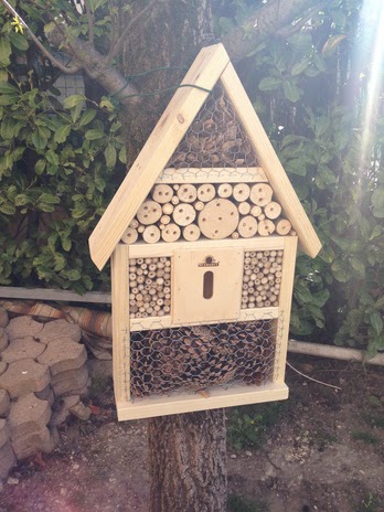 Les Amis d'Animal Speaking: La boîte à insectes, une idée géniale pour ...