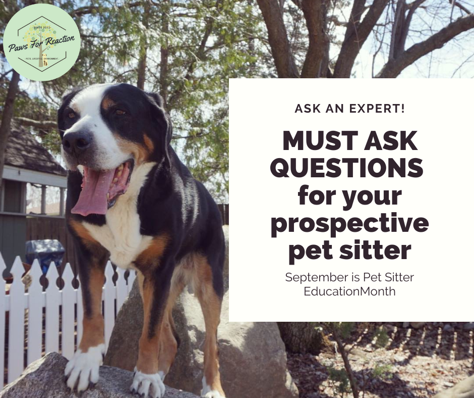 MUST ASK QUESTIONS for your prospective pet sitter for Pet Sitter ...