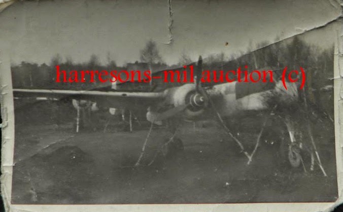 FalkeEins - the Luftwaffe blog: NASM’s Heinkel He-219 and Horten flying ...