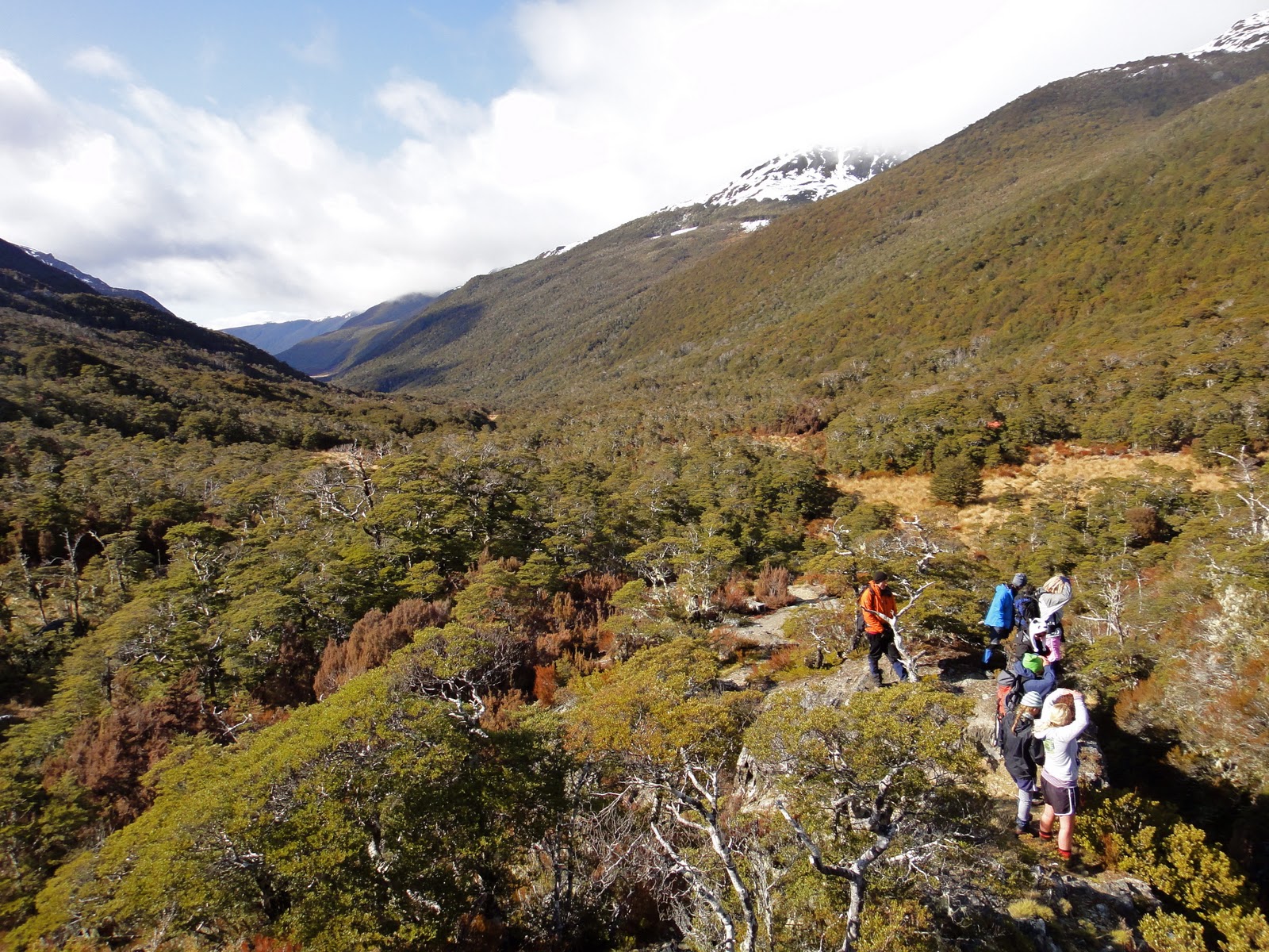 Kaitiaki Tanga: Tramping Track－トレッキングルートで見る環境政策