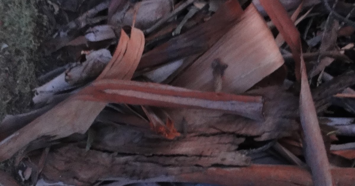 The GoFather Of Math: When Dr. Rorschach Was A Shop Teacher