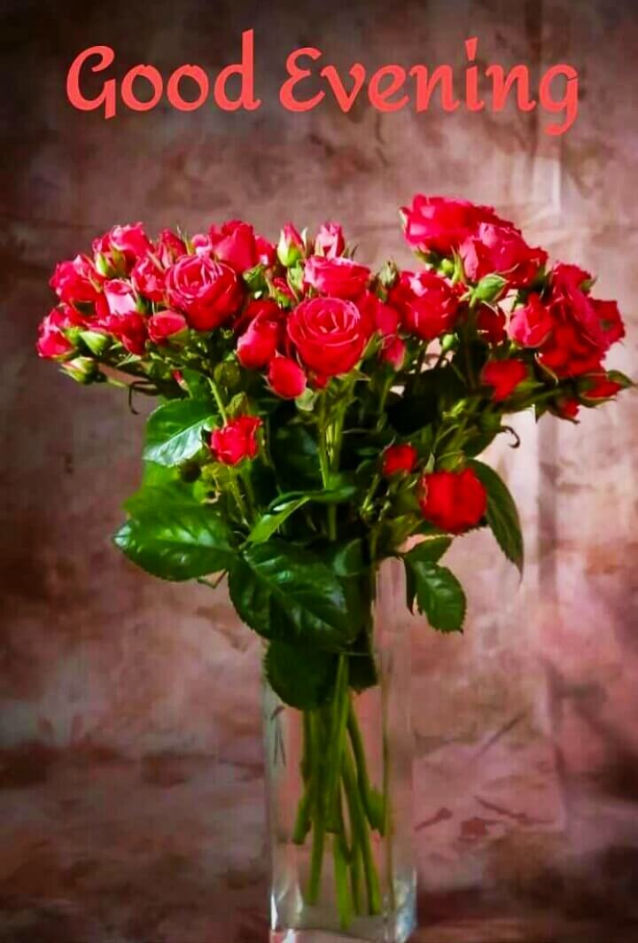 Good Evening Images