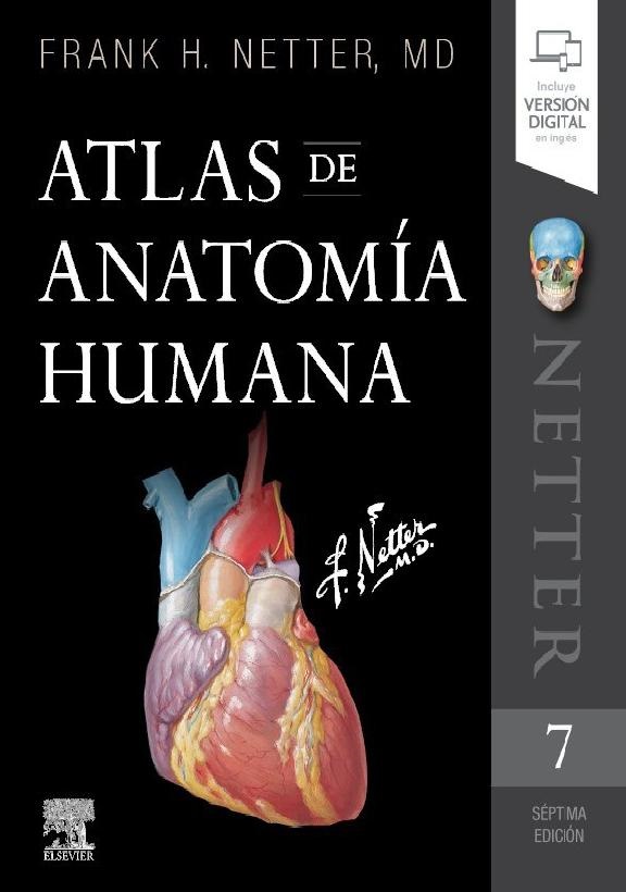 Netter: Atlas de Anatomía Humana, 7ma Edición – Frank H. Netter | Free ...