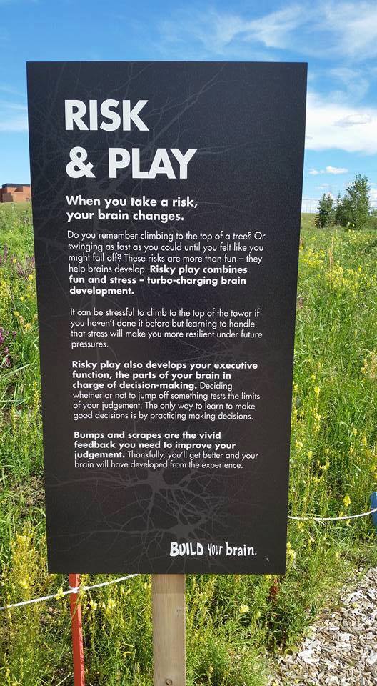 Opening Doors for Learning: The Importance of Risky Play for All Students