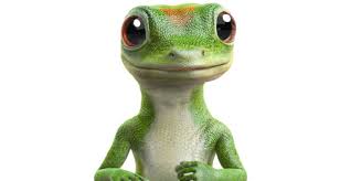 Emprendedores: LA NEOTENIA O PRINCIPIO DEL CACHORRO