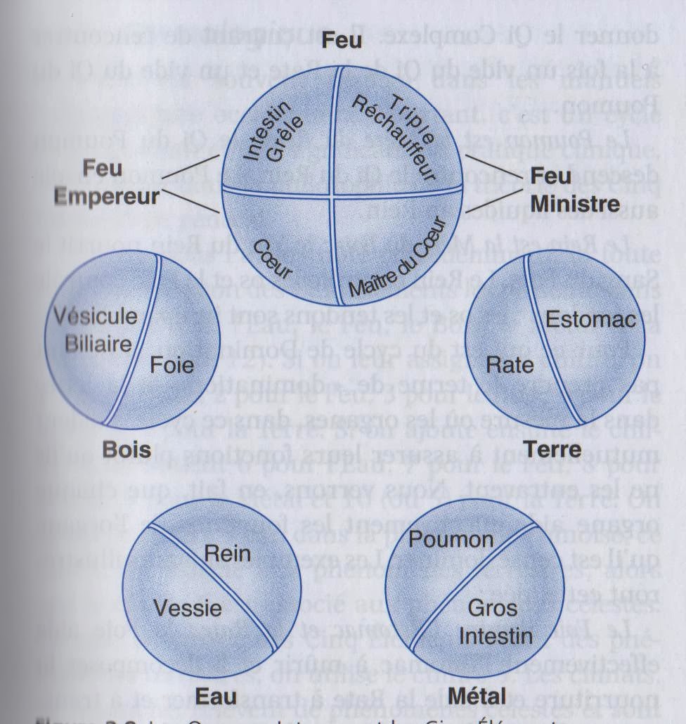 Blog Le Souffle du Menhir: Les 5 éléments en physiologie en médecine ...
