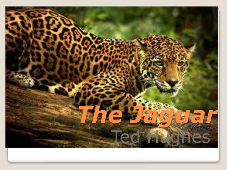 The Jaguar by Ted Hughes Essay Example