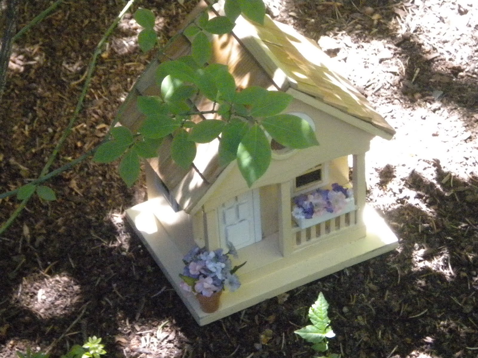 The Stringham Scuttlebutt: Ballet Camp