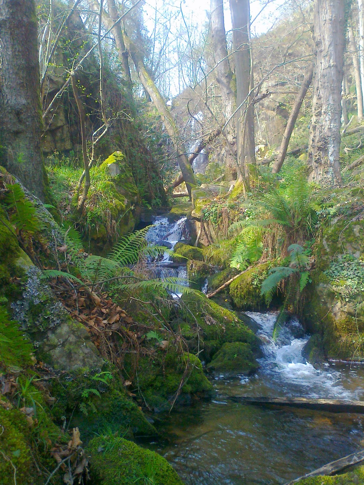 Paisajes desde mi bici: Las cascadas de Guanga