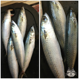 Airinie Cooks: Her Eclectic Kitchen: Lemon Kolios (Atlantic Chub Mackerel)