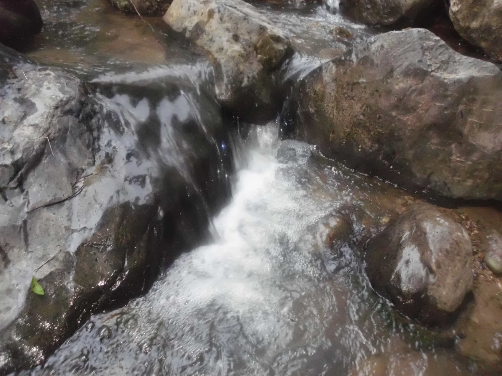 Sansare, El Progreso: Acercamiento a Sansare