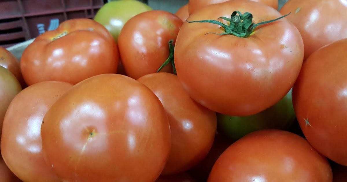 Conheça os benefícios do tomate carmem, o produto da semana (24/8)
