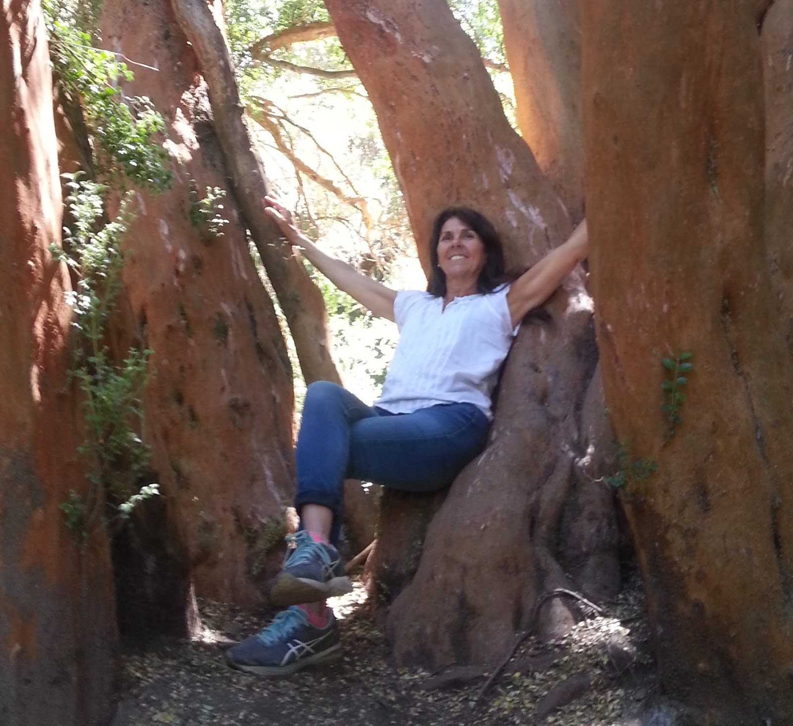 Alamberse y el Test de Proust: María Viegas