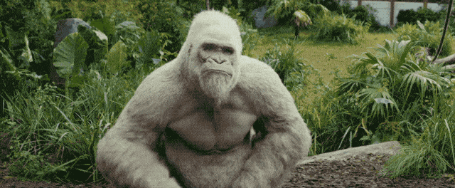 Movie Review: "Rampage" Is Equal Parts Dumb And Fun