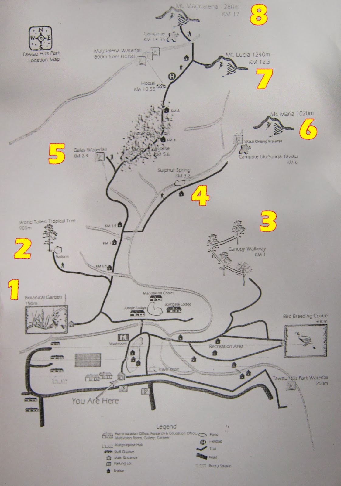 Exploring the Endangered Wonders: Tawau Hills Park 斗湖山國家公園