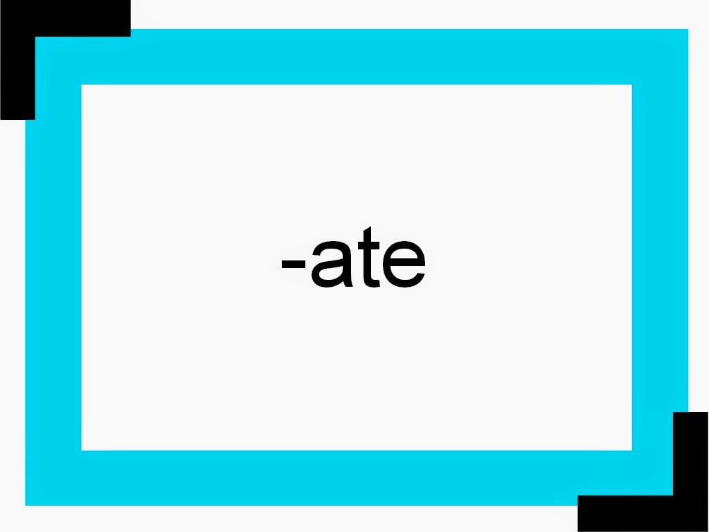 Student Survive 2 Thrive: Medical Terminology Flash Cards: Common ...