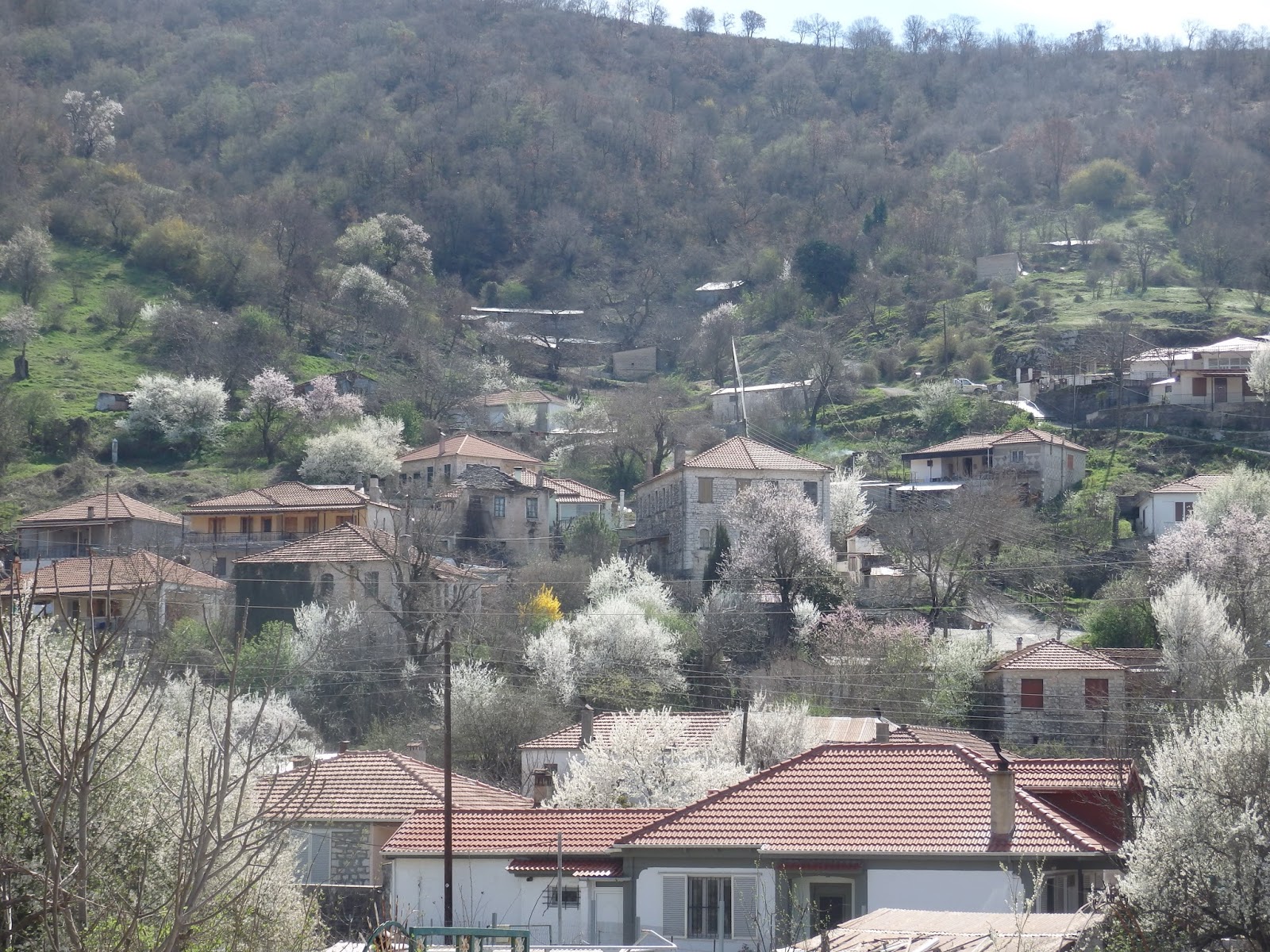 Μένουμε ... Δελβινάκι : Μύρισε...Άνοιξη