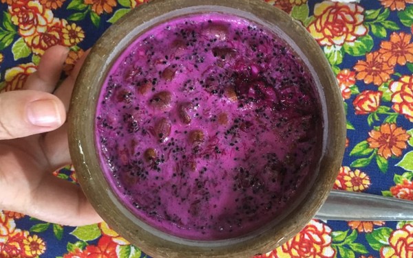 Xique-Xique: O Tesouro Espinhoso do Nordeste Brasileiro