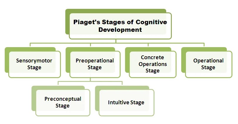 What are the 4 Stages of Cognitive Development