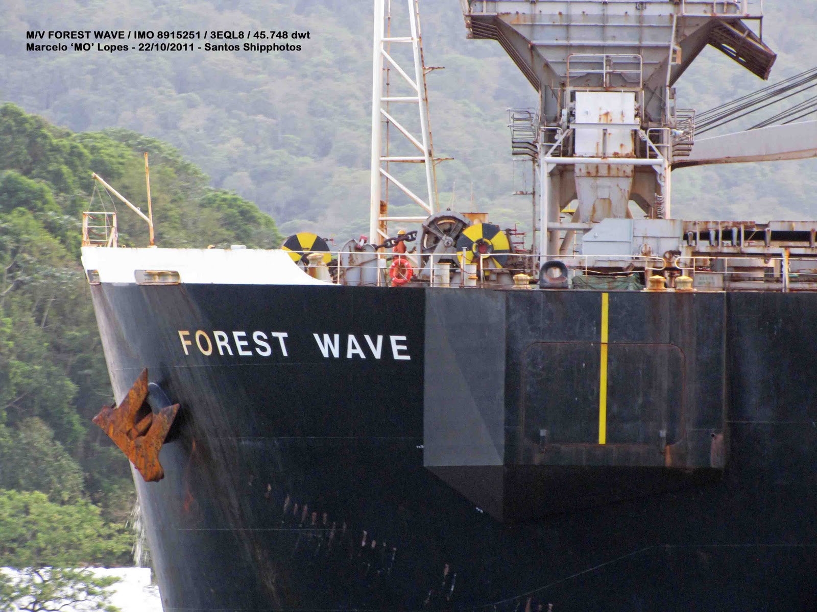 Santos Shiplovers: M/V Forest Wave / 3EQL8 - Um Wood Chip Carrier