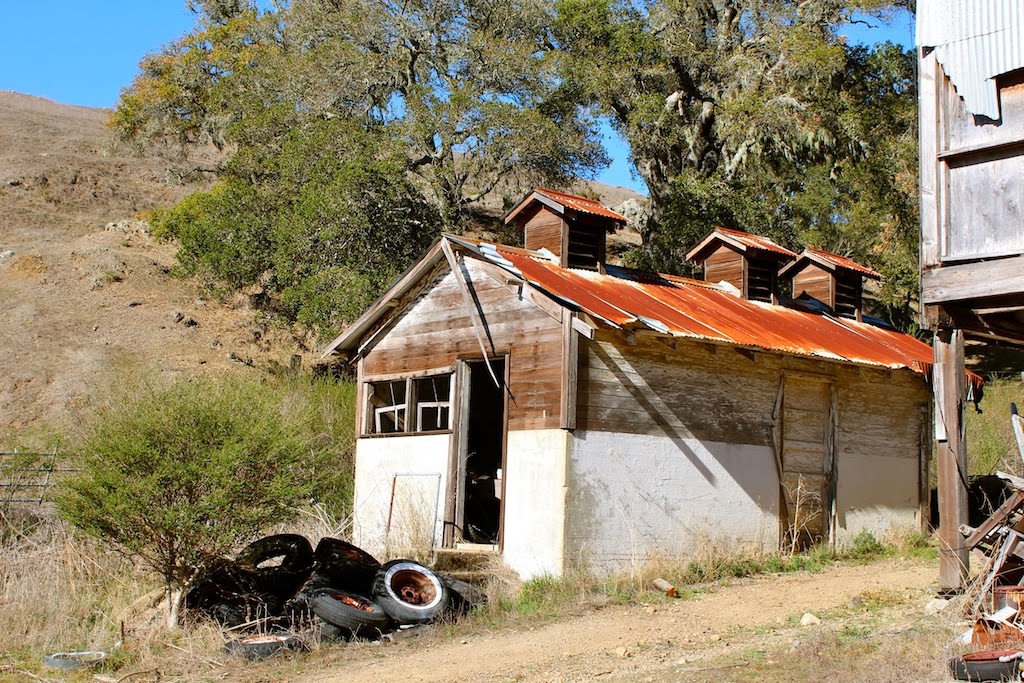 Honey's Treasures: Gambonini Ranch