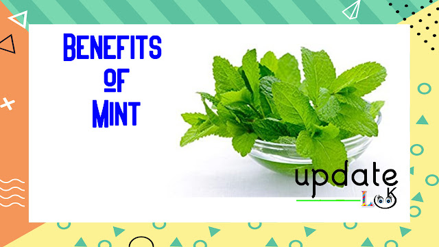 Impressive Benefits of Mint