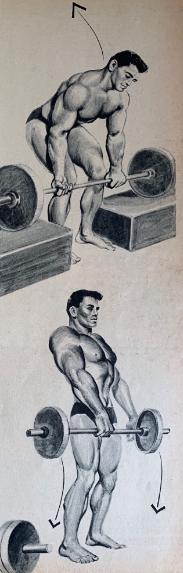 The Tight Tan Slacks of Dezso Ban: Of Forearms, Wrists, and a Mighty ...