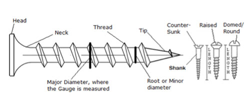Parts of a typical screw - MechanicsTips