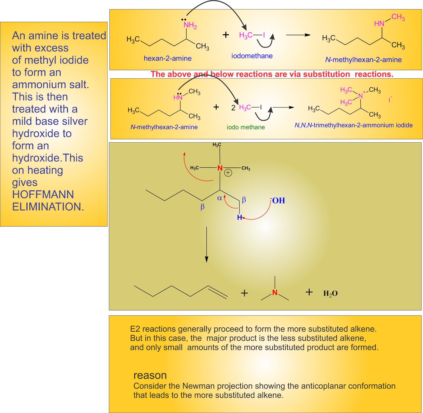 chemistry world: HOFFMANN ELIMINATION REACTION